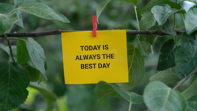 A Paper Note with the Word Eco-Conscious on it Attached To a Tree with ...