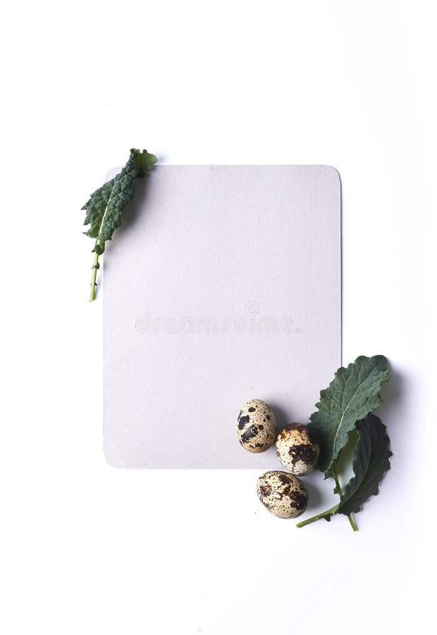 Paper for notes and food stock photo. Image of quail - 164270582