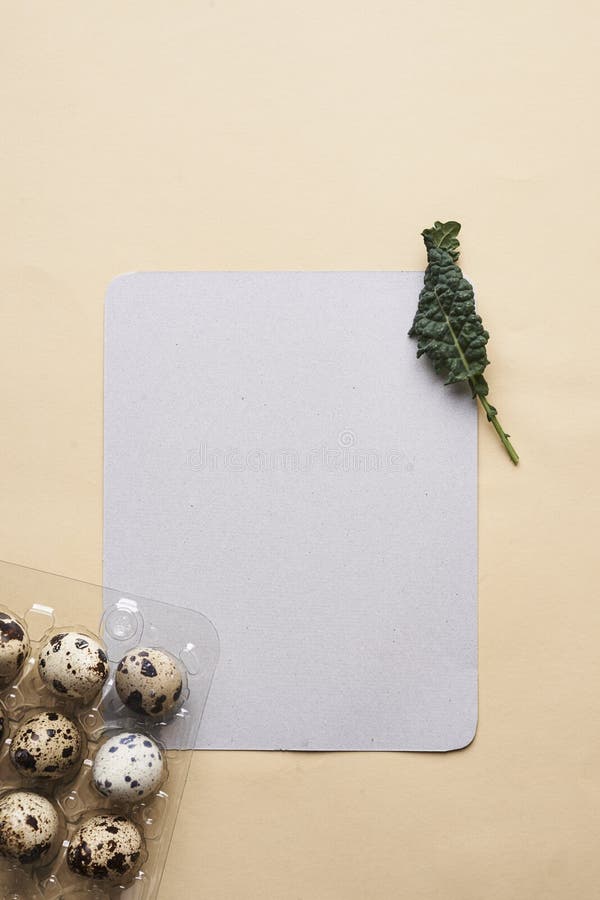 Paper for notes and food stock photo. Image of snack - 164271140