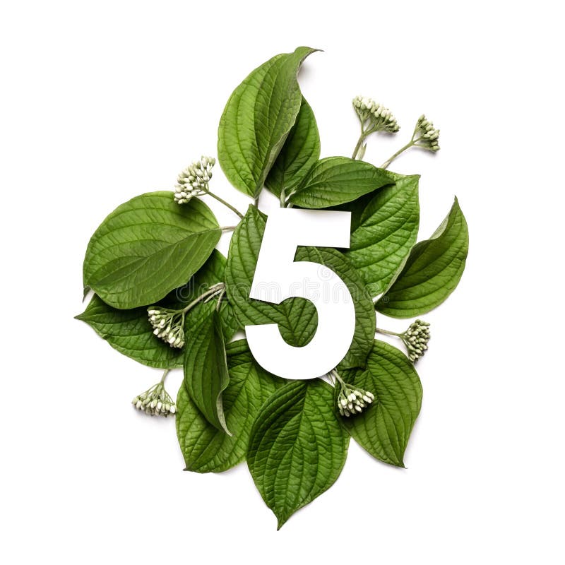 Paper Number Five on Background of Green Leaves. Minimal Creative ...
