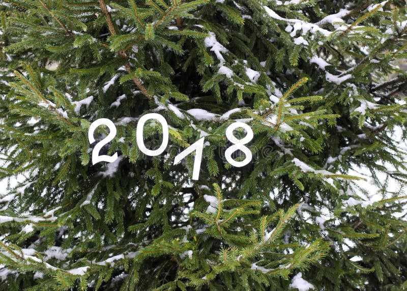 Paper Numbers 2018 on Fir Tree Green Branches. Stock Image - Image of ...