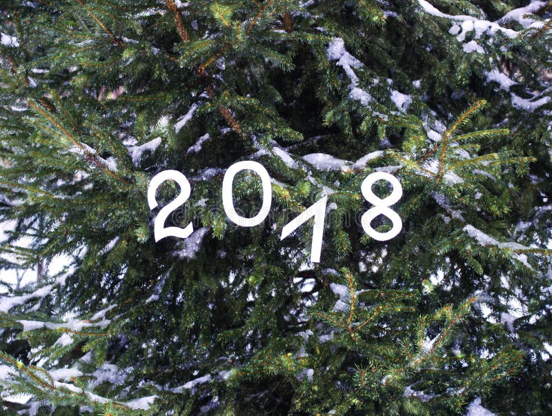 Paper Numbers on Fir Tree Green Branches. Stock Photo - Image of needle ...