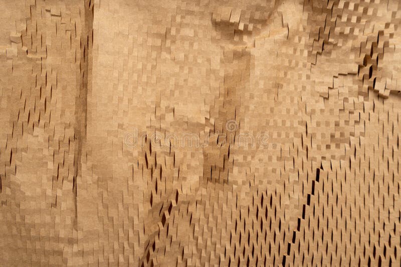 Paper Packing, Biodegradable Cardboard Packing Material, Ecology ...