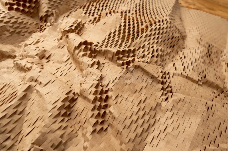 Paper Packing, Biodegradable Cardboard Packing Material, Ecology ...