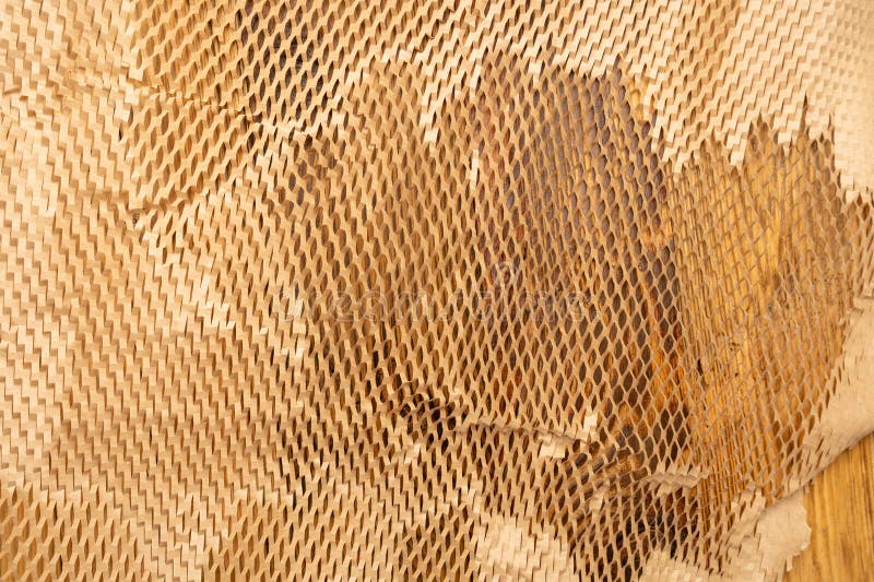 Paper Packing, Biodegradable Cardboard Packing Material, Ecology ...