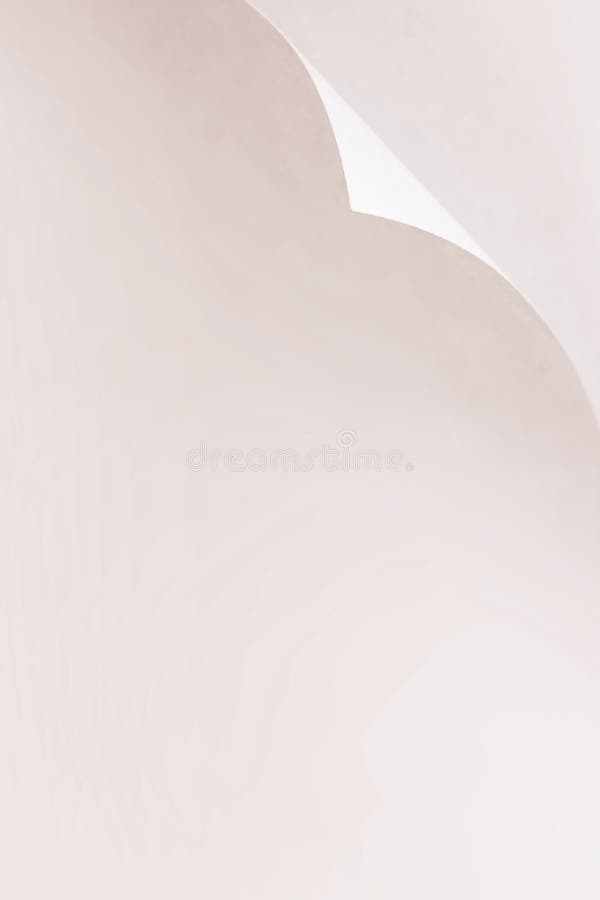 Paper with curled edge stock photo. Image of document - 7720212