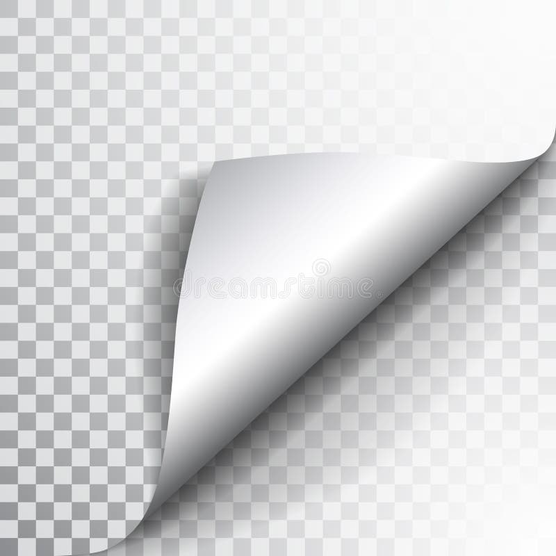 Paper Page with Curled Corner and Shadow. Template for Your Design. Set ...