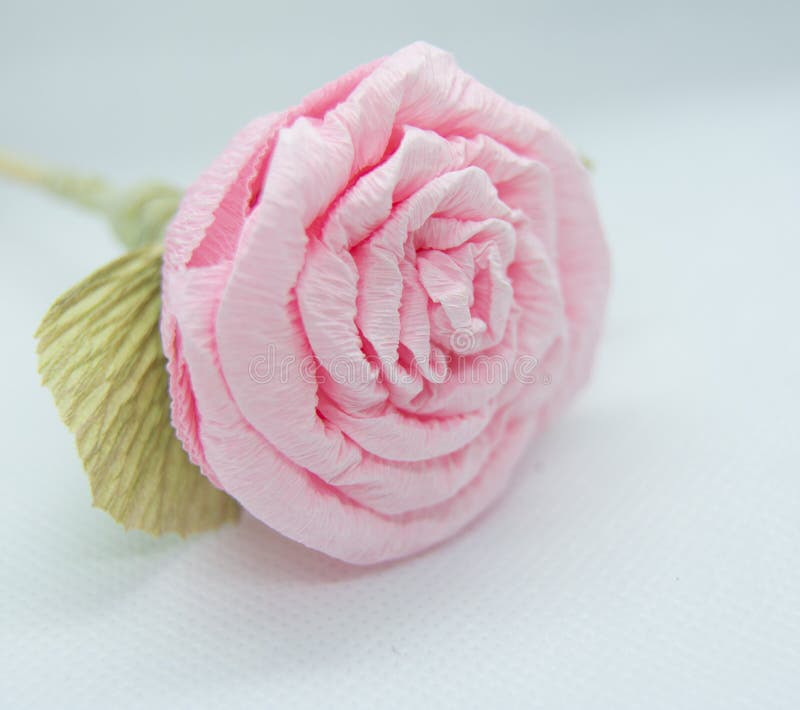 Paper Pink Roses Close Up for Background Stock Photo - Image of ...