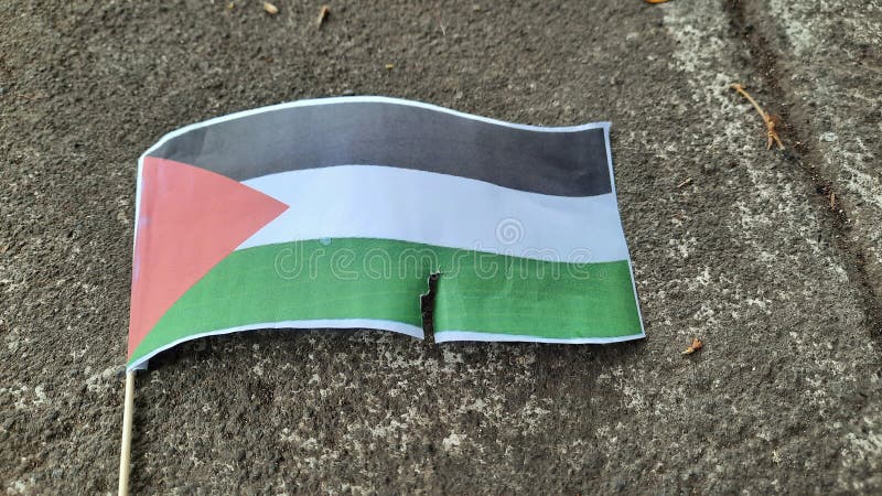 Paper Printed with a Torn Palestinian Flag. Selective Focus. Draft ...