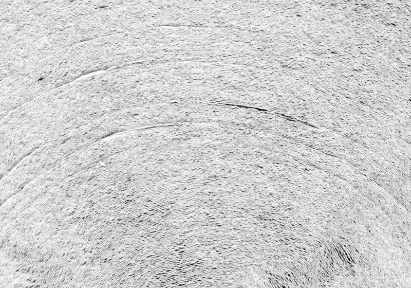 Paper roll texture stock photo. Image of domestic, clean - 23023816