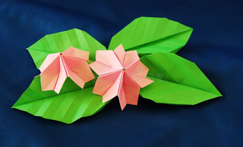 Sakura Picture. Image: 10213413