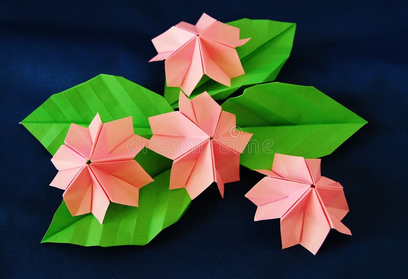 Paper sakura stock photo. Image of green, paper, decorate - 17935494