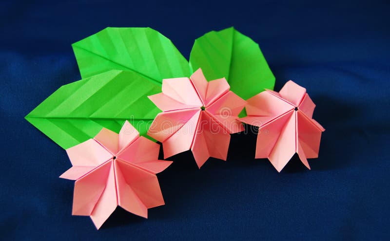 Sakura Picture. Image: 10213413