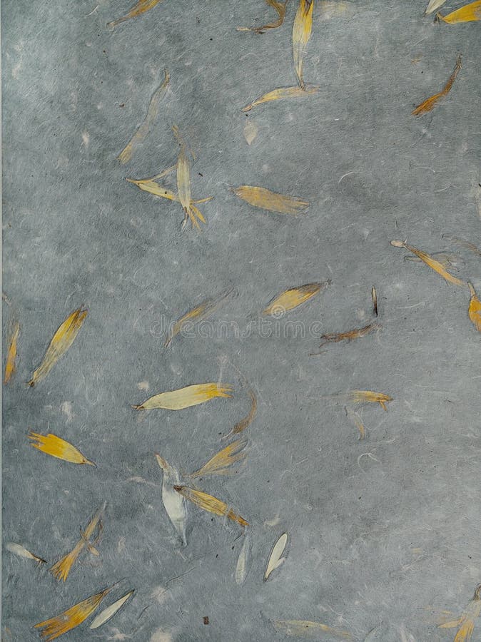 Samarkand Paper Stock Photos - Free & Royalty-Free Stock Photos from ...