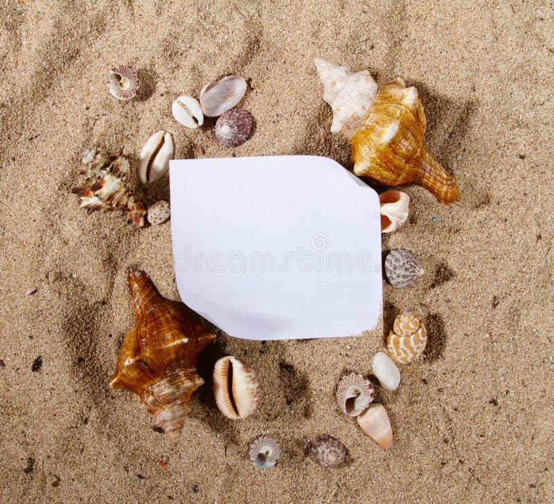 Paper with Sand Beach and Shells Stock Image - Image of frame ...