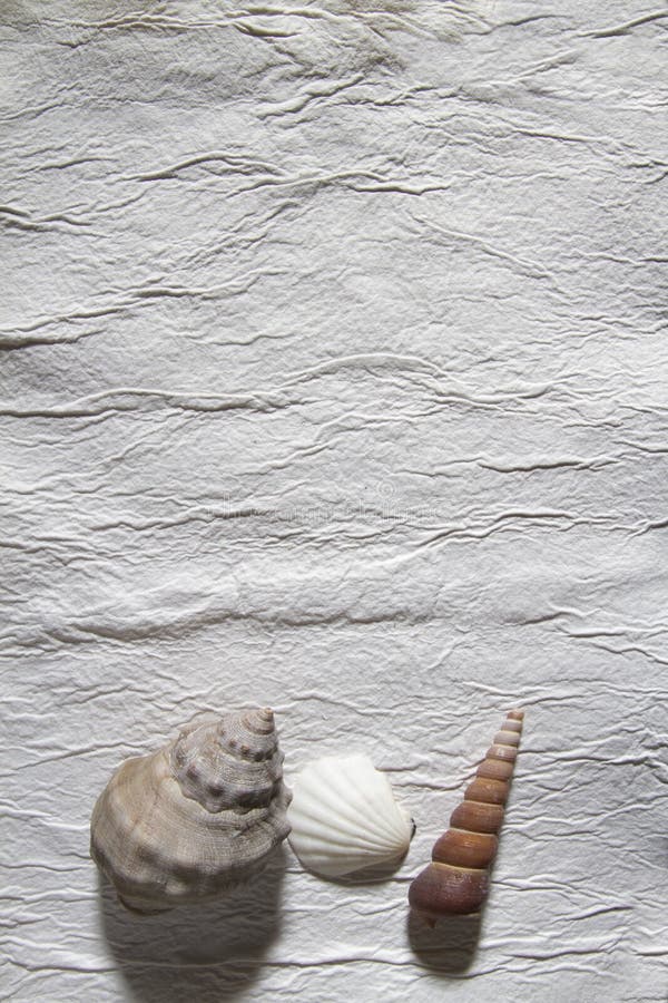 Paper and Seashell stock image. Image of ocean, colorful - 50180317