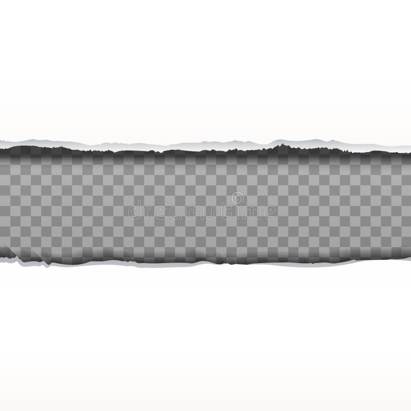 Banner Background Cut Middle Stock Illustrations – 511 Banner ...