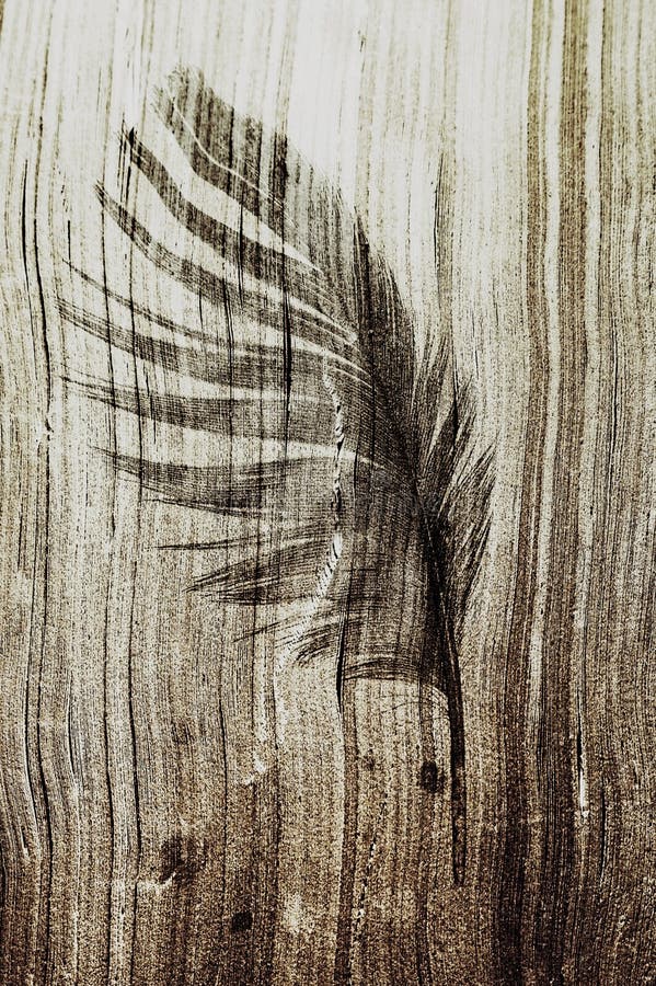 Feather watermark stock photo. Image of notebook, form - 66105904