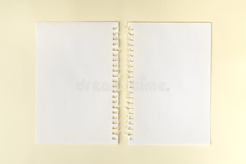 Paper with Side Perforation Stock Photo - Image of surface, white ...