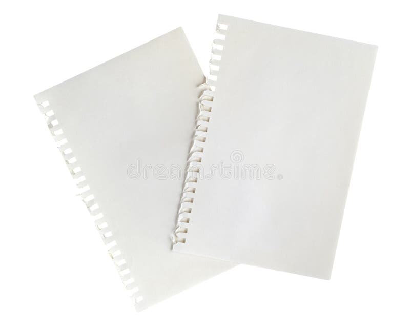 Paper with Side Perforation Stock Photo - Image of torn, surface: 261346046