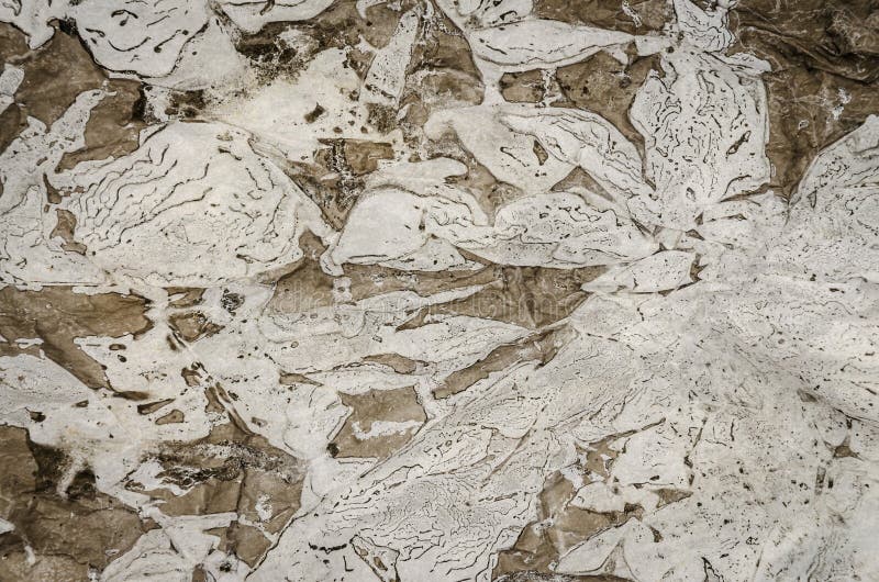 Paper singed texture stock photo. Image of retro, aged - 31793396