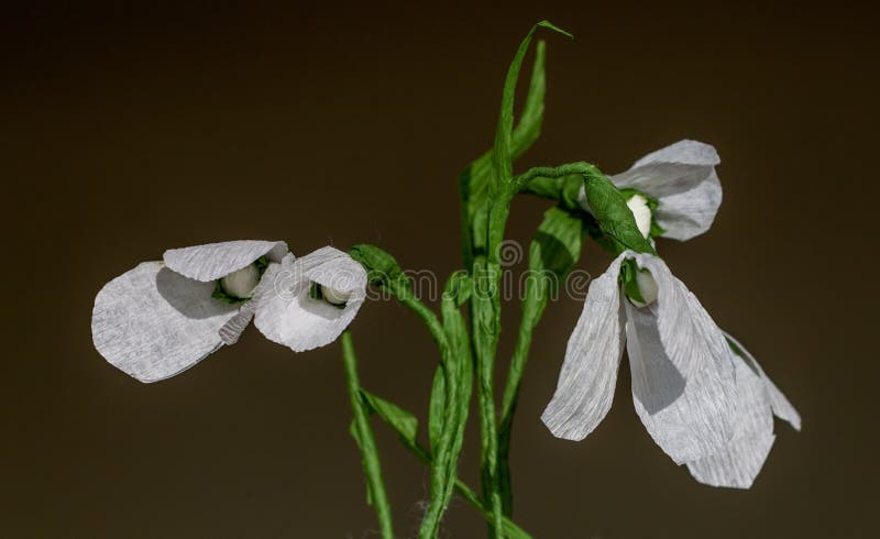 Paper snowdrop stock image. Image of homemade, paper - 70203301