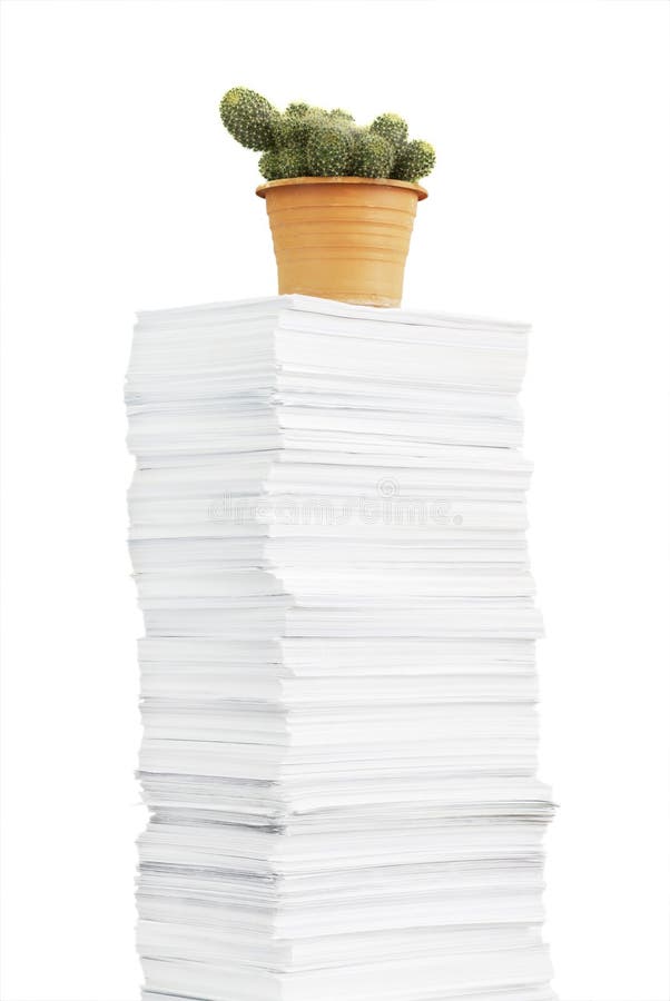 Paper stack and cactus stock image. Image of document - 29292481