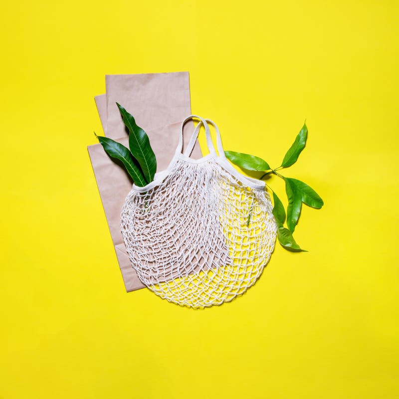 Paper, String Reusable Mesh Bag with Plant. Yellow Stock Image - Image ...