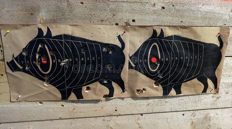 Paper Target Wild Boar Stock Photos - Free & Royalty-Free Stock Photos ...