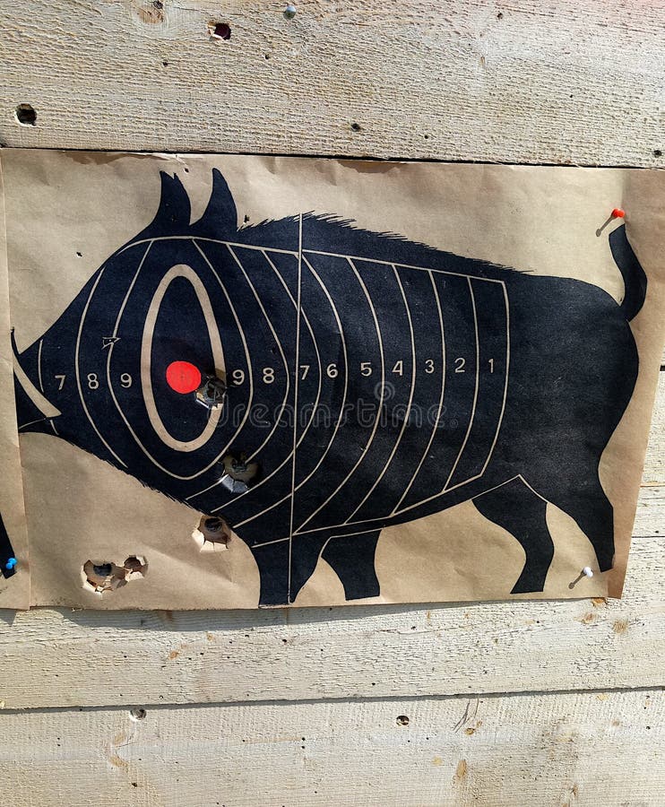 233 Target Boards Stock Photos - Free & Royalty-Free Stock Photos from ...