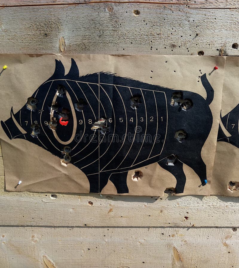 Target Shooting Wild Boar Stock Photos - Free & Royalty-Free Stock ...