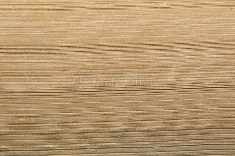 Paper Texture of Old Yellowed Book Sheets Stock Image - Image of wooden ...