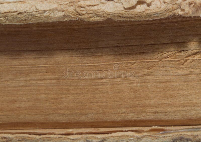 Paper Texture of Old Yellowed Book Sheets Stock Image - Image of ...