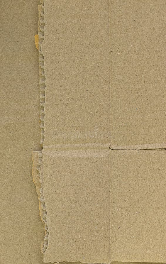 Paper Texture Striped Pattern for Wrapping. Texture Background. Ripped ...