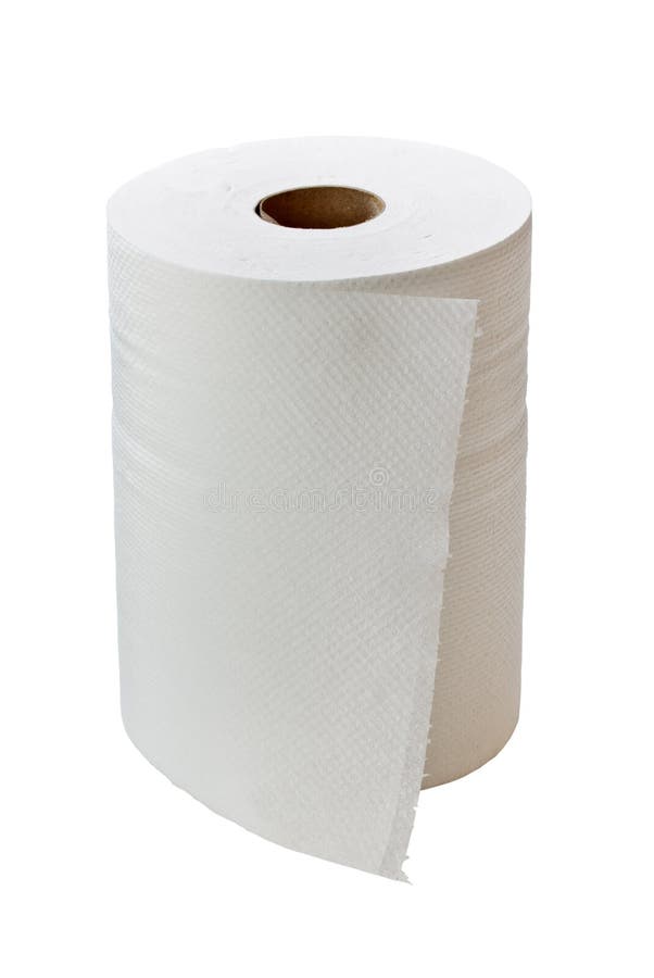 Cleaning with Paper Towels stock image. Image of house - 14981129