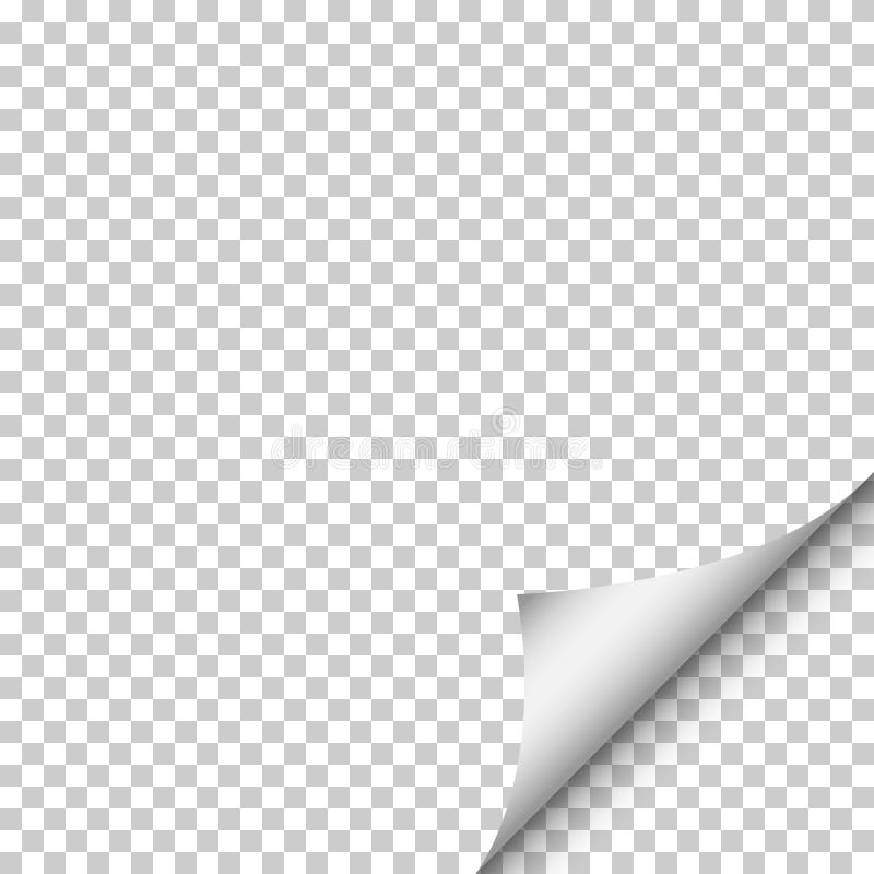 Paper Turn, Curl Transparency Stock Vector - Illustration of angle ...