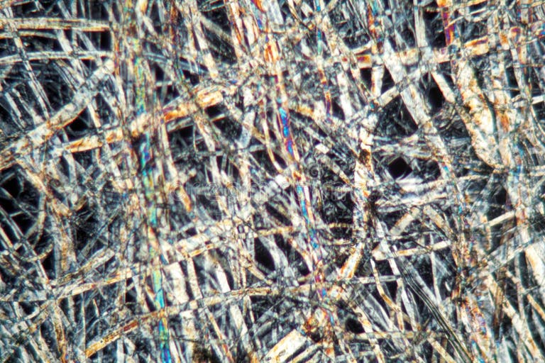 Paper under the microscope stock image. Image of style - 82017623