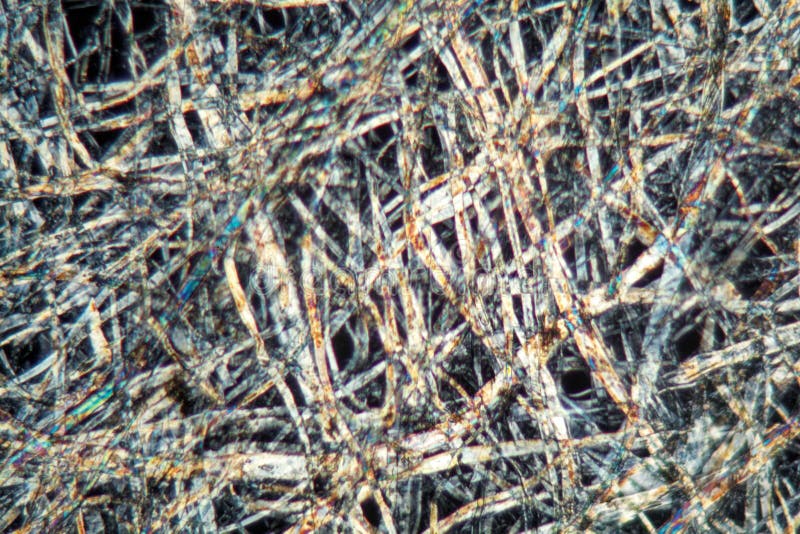 Paper under the microscope stock image. Image of ecology - 82018599