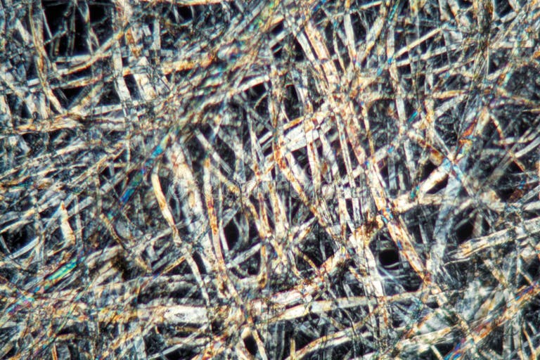 Paper under the microscope stock image. Image of ecology - 82018599