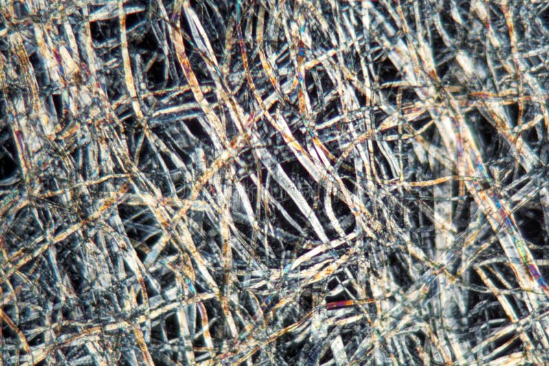 Paper under the microscope stock image. Image of texture - 82015469