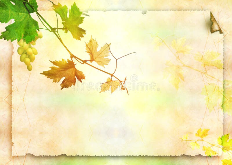 Paper and vine stock illustration. Illustration of grate - 11043135