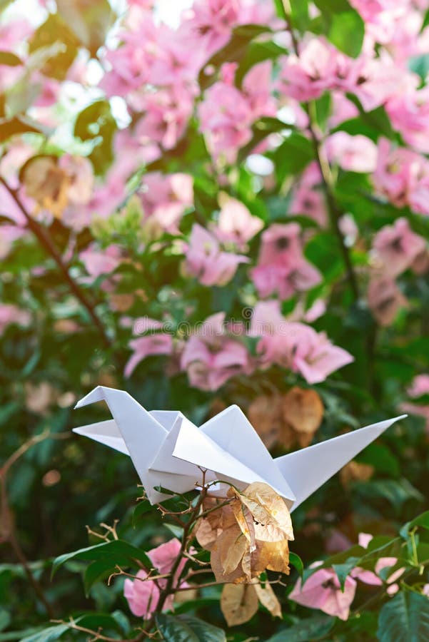 174 Japanese Paper Crane Tree Stock Photos - Free & Royalty-Free Stock ...