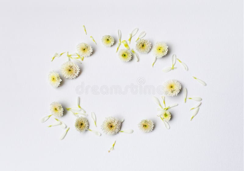 Paper White Texture Background with Yellow Flower Empty Frame . Flat ...