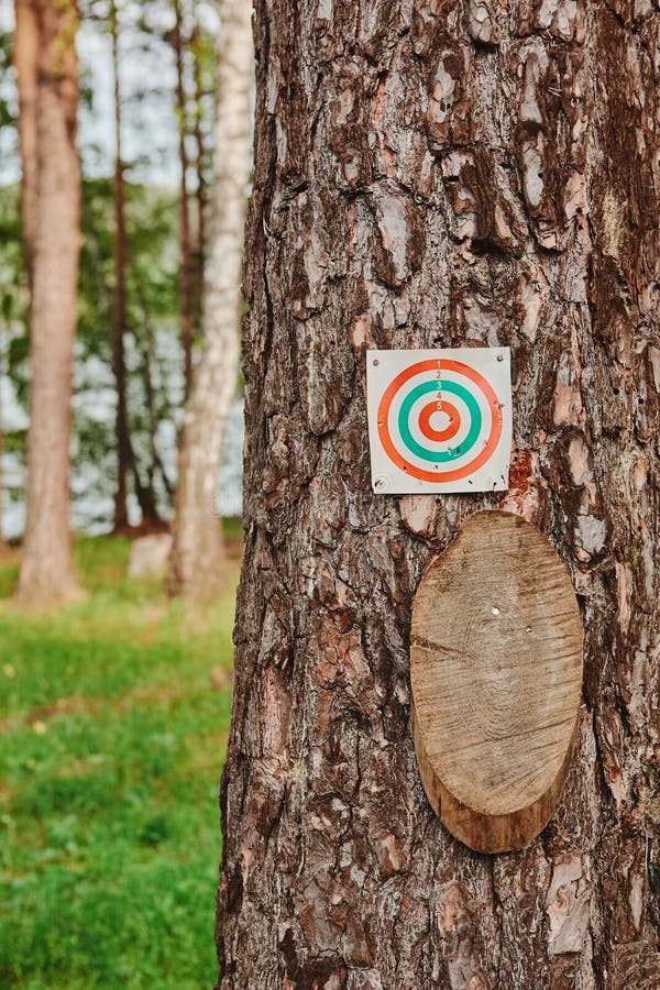 Paper and Wood Target on the Tree for Games and Shooting Training Stock ...