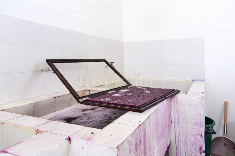 Paper Workshop: Pulp in a Frame As Part of the Handmade Papermaking ...