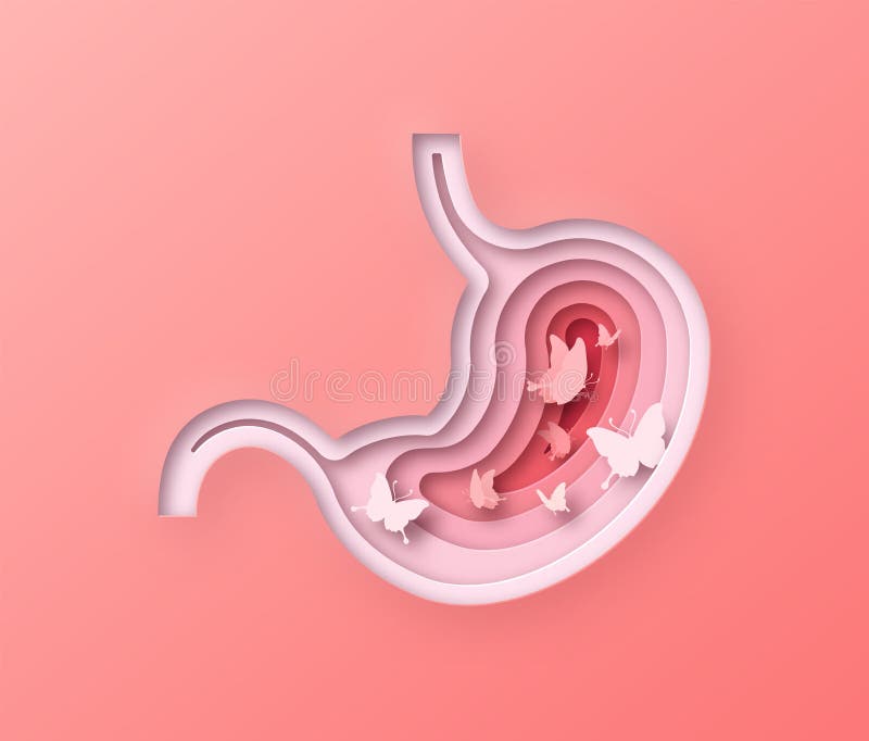Realistic 3D Paper Cut Human Stomach with Butterflies Inside Stock ...