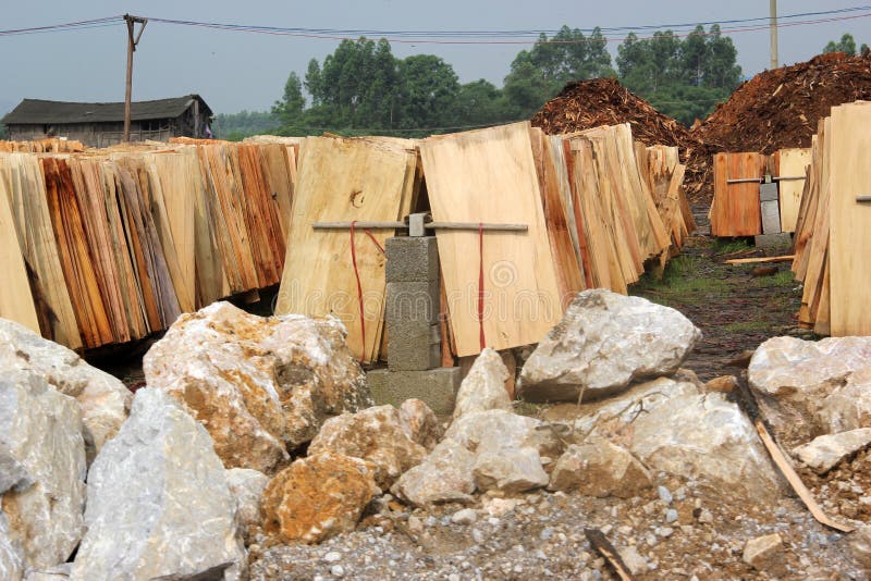 The Papermaking Materials Yard Stock Image - Image of tree, industry ...