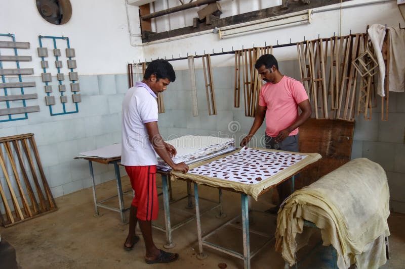 Papermaking Process: Unstacking Pressed Sheets Editorial Stock Photo ...