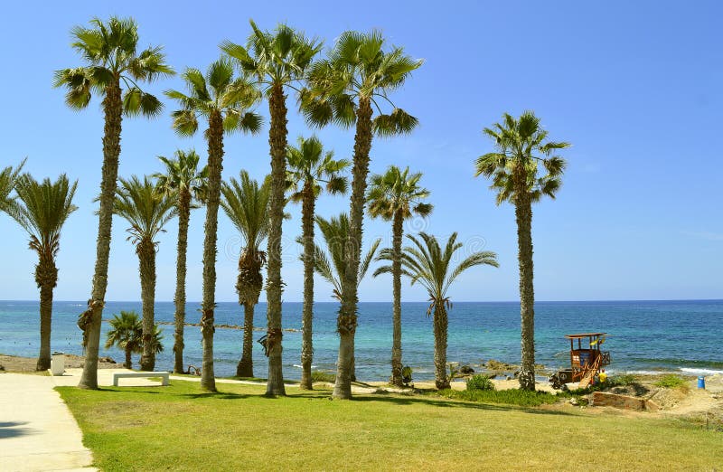Paphos Strand in Der Zypern-Insel Stockfoto - Bild von tourismus ...
