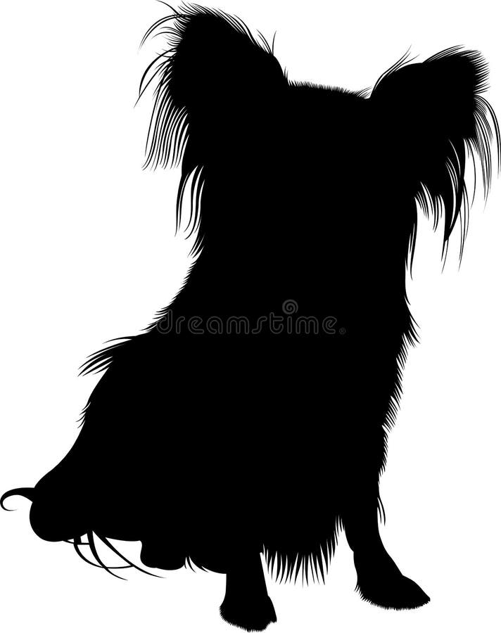 Papillon dog stock vector. Illustration of drawing, butterfly - 57308478